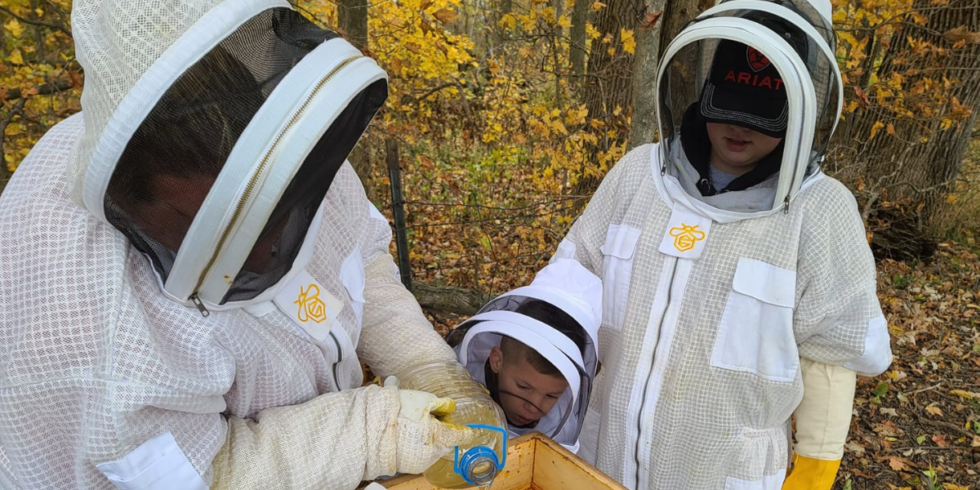 How to Become a Beekeeper - 101 Guide | Guardian Bee